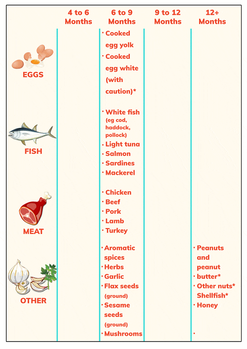 Baby Food Chart - Plan Baby's Menu at a Glance